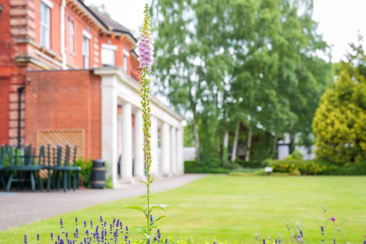 Future Ready Schools - ACS International Schools